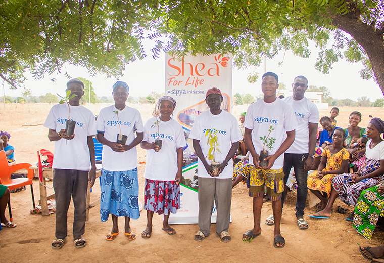 Portfolios – Sipya Initiative